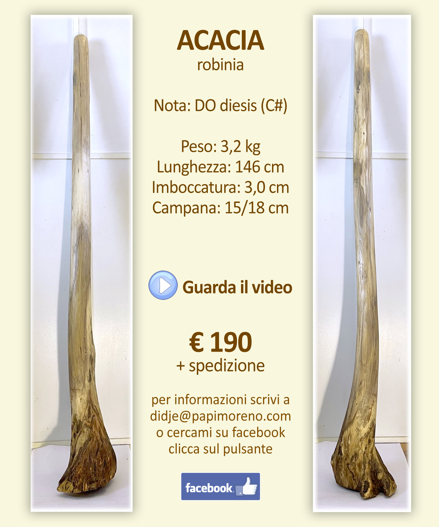 Vendita didgeridoo, didjeridoo, didjeridu